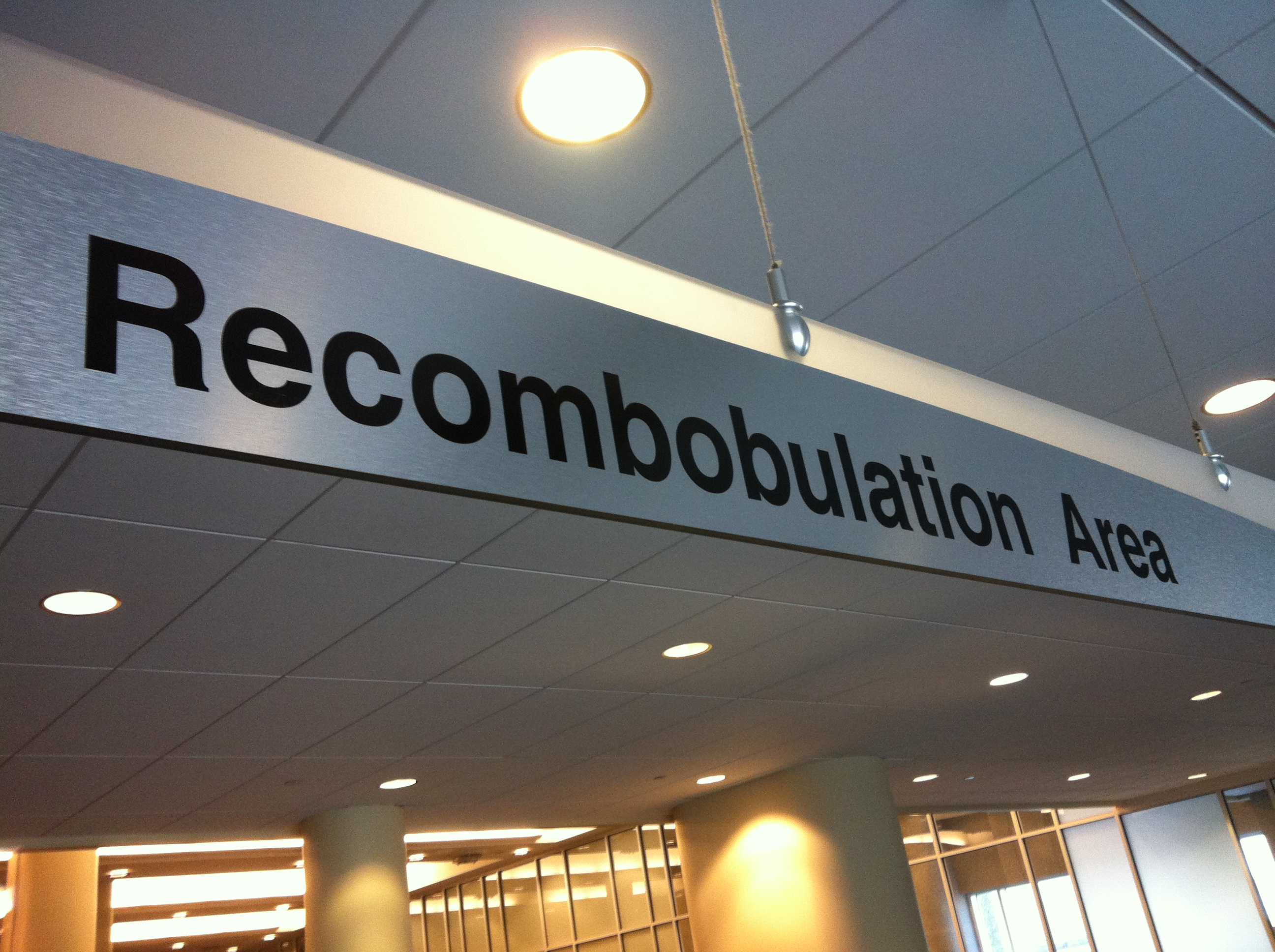 the discombobulation of Monday… | illuminated dandelion